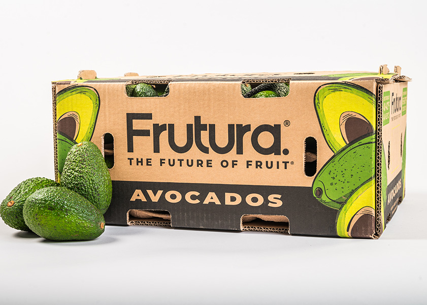 Building a one-stop avocado shop: Q&A with Frutura avocado whisperer ...