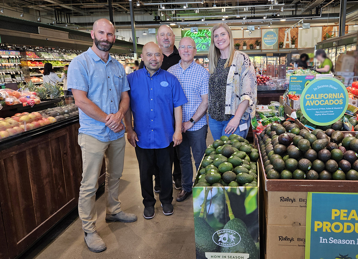 California avocado crop forecast up 20%