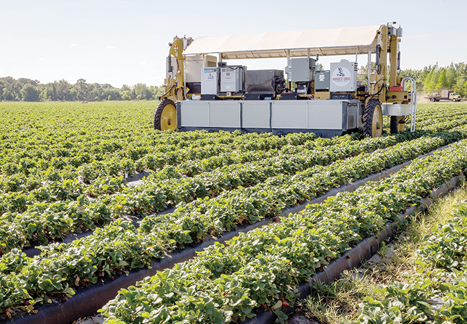 Automated harvest is getting closer | The Packer
