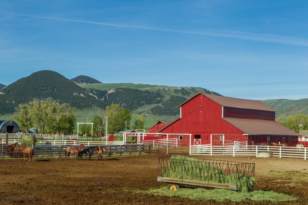 Rupert Murdoch Buys Sprawling Montana Ranch From Koch Industries | Drovers