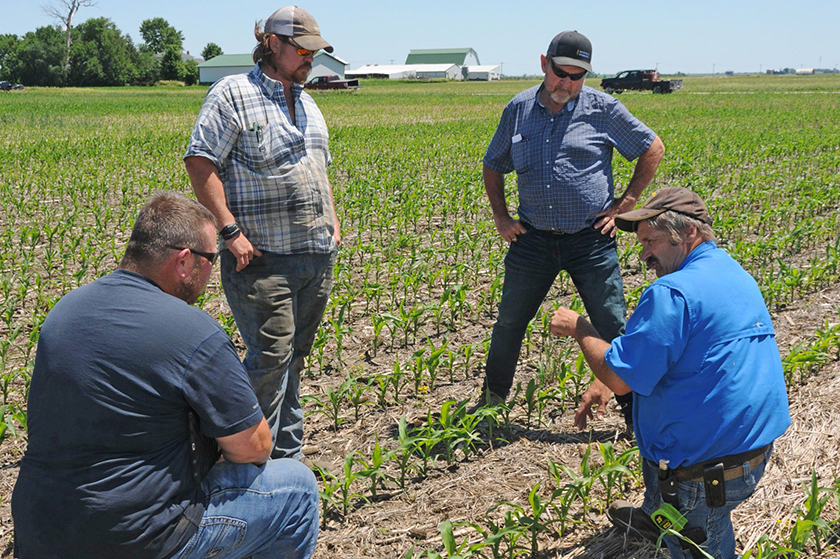 Farm Legend in the Making, Ken Ferrie Delivers Bare-Bones Crop Truth ...