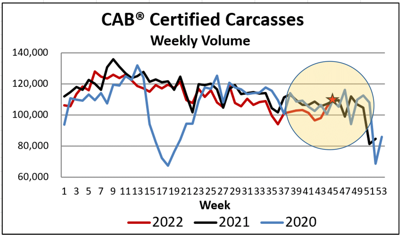 CAB Insider: Demand for Premium Quality Beef High, Supply Showing ...