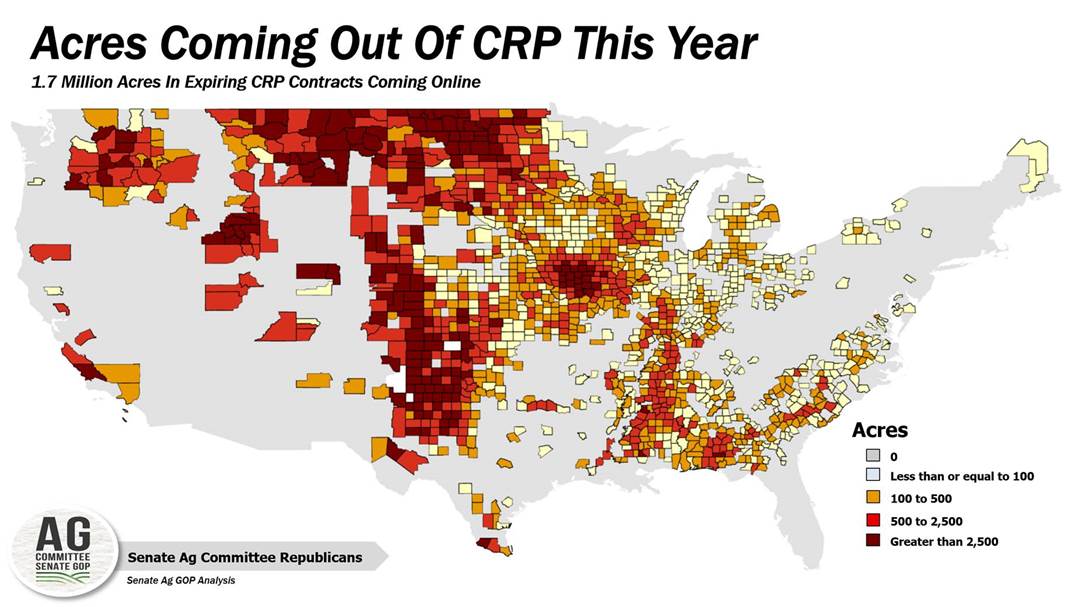 USDA Announces CRP Changes | Pro Farmer