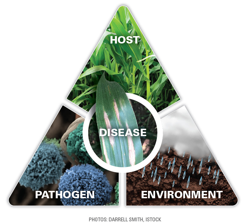 The Correlation (Or Lack Of) Between Soil Health And Fungicide Use | AgWeb