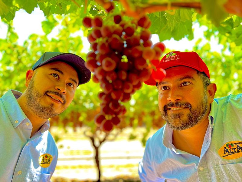 Sonora grape deal is rebounding after slow start, distributor says ...