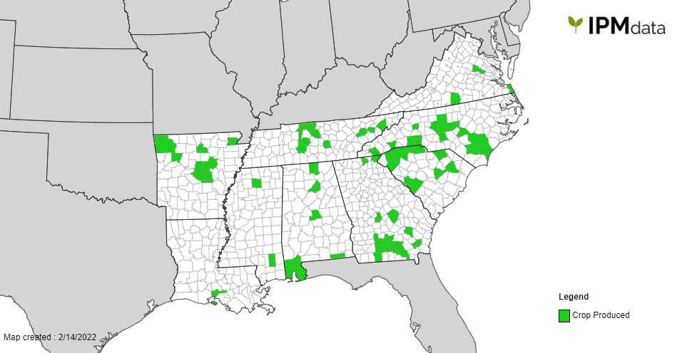 Fresh Trends data on Southeast berry production, consumption | The Packer
