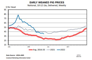 Feeder Pig Prices Fall, Total Costs for Wean-To-Finish Operations Rise ...