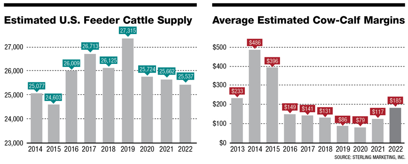 Cattle Inventory, Beef Cow Herd Decline 2% | Drovers