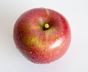 Second EverCrisp apple season off to a strong start, says grower | The ...