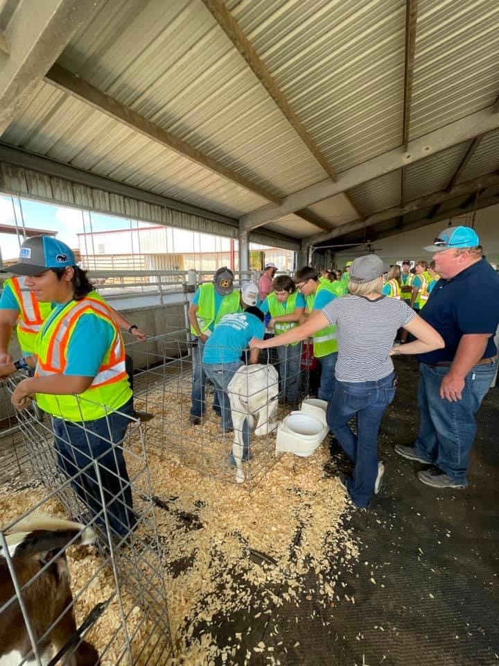 How Texas FFA and Production Agriculture is Helping to Shape our Future ...