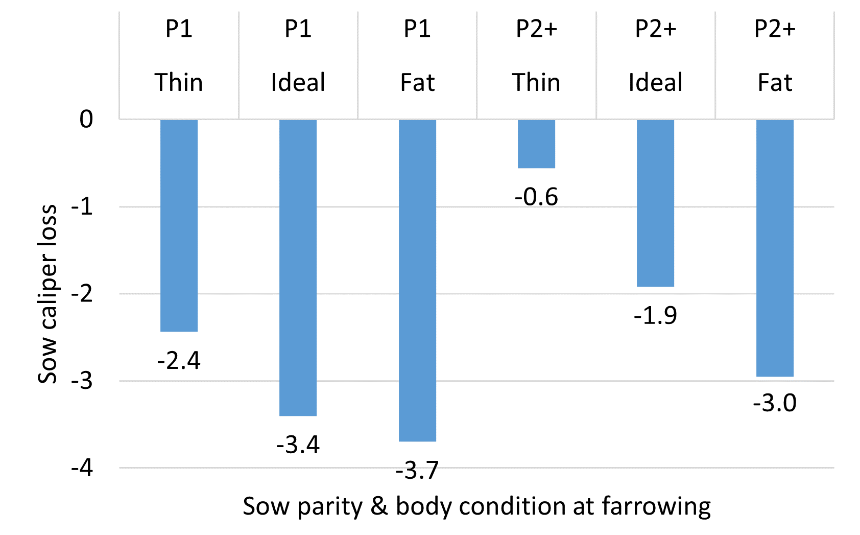 Parity and Body Condition Score Drive Summer Fertility in Sows | Pork ...