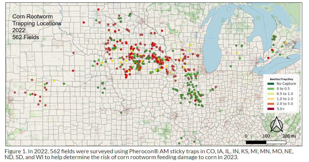 Corn Rootworm Beetle Counts Forecast Problems For 2023 | AgWeb