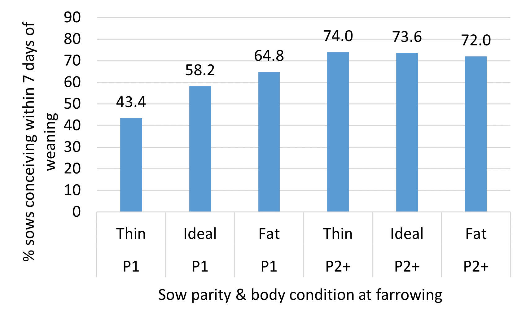 Parity and Body Condition Score Drive Summer Fertility in Sows | Pork ...