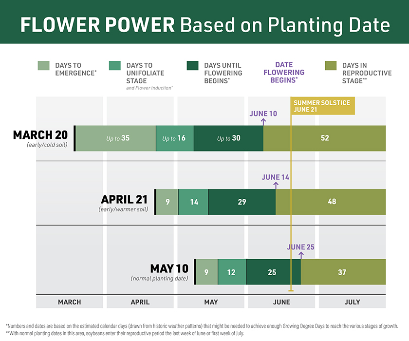 8 Tips for Planting Soybeans Early | AgWeb