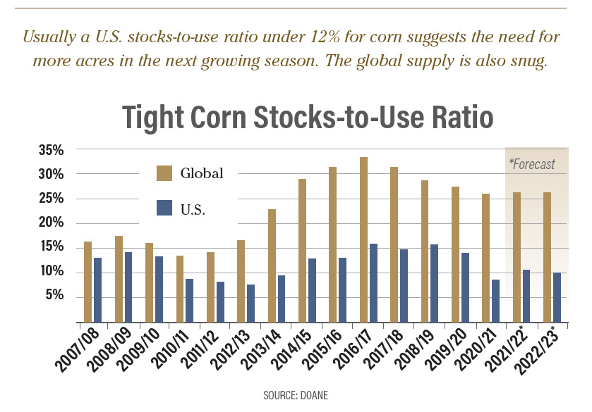Chip Flory: The Upside for The Corn Market | AgWeb