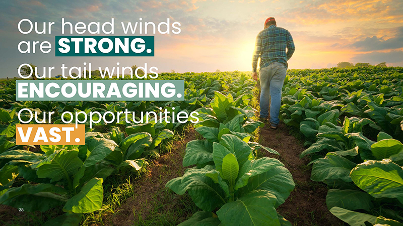 IFPA delivers optimistic State of the Industry Report for 2023 | The Packer