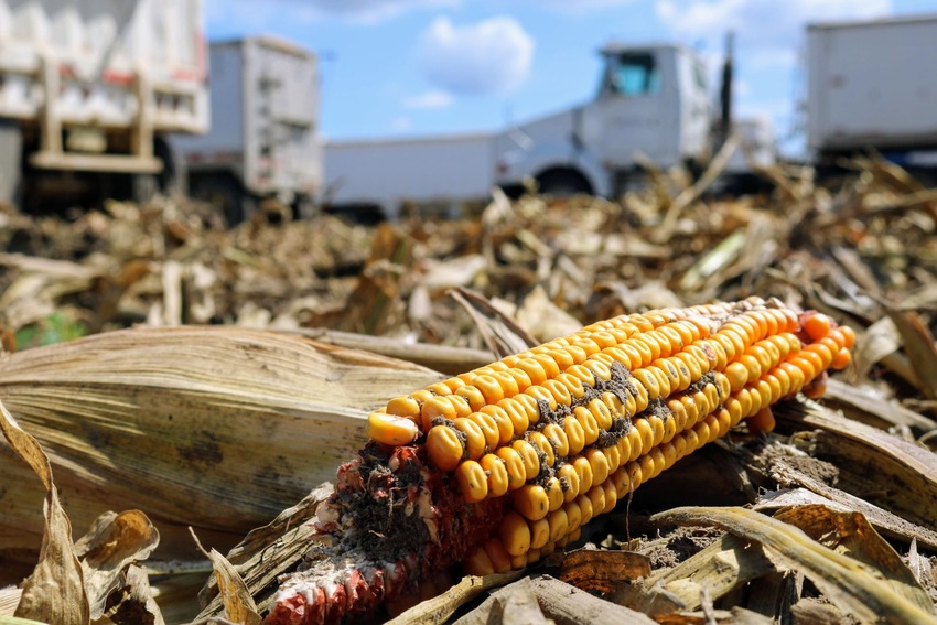 How a Texas Farmer Killed Agriculture’s Debt Dragon | AgWeb