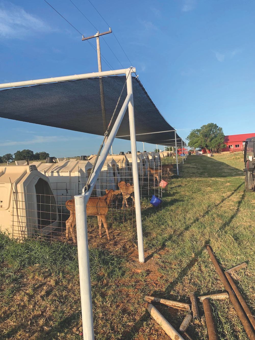 Facility Focus: Keys to Success for Calf Facilities Across the Country ...