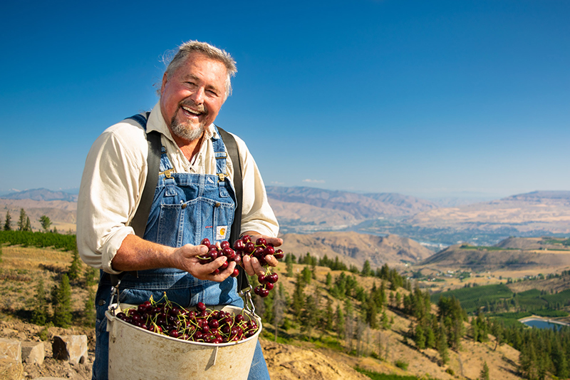 Stemilt celebrates 10 years of high-elevation cherries | The Packer