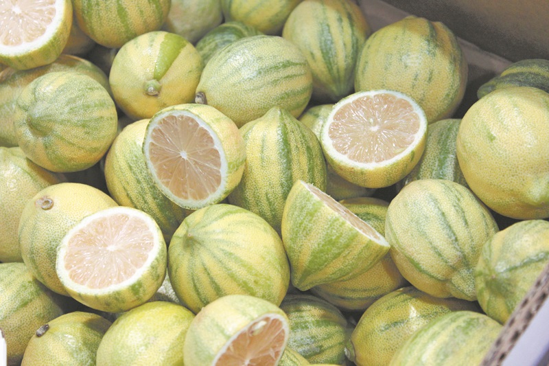 Limoneira offers full scope of lemons and limes | The Packer