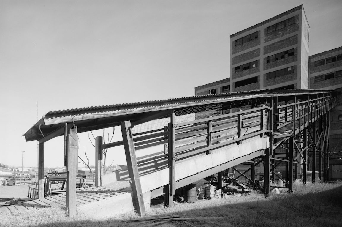 Slaughterhouse Kings: Recalling the Creepy Reign of Judas Goats | AgWeb