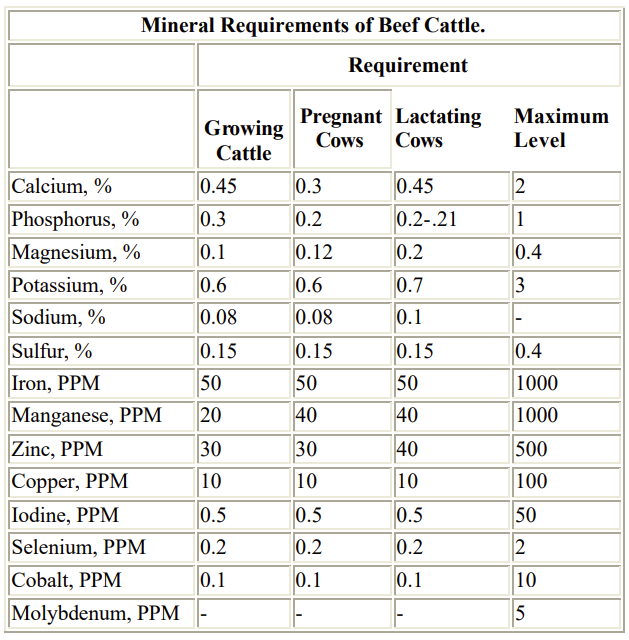 Choose the Best Cattle Mineral Supplementation for Your Operation | Drovers