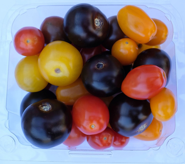 Norfolk Healthy Produce bets on the power of the purple GMO tomato ...