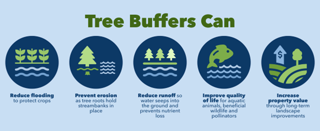 Streamside Buffers Help You Do More | AgWeb