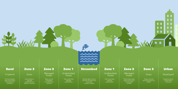 3 Steps to Planting a Tree Buffer | AgWeb