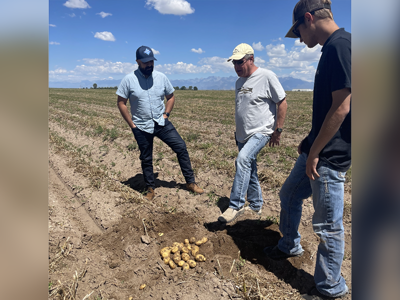 California winter produce business updates | The Packer