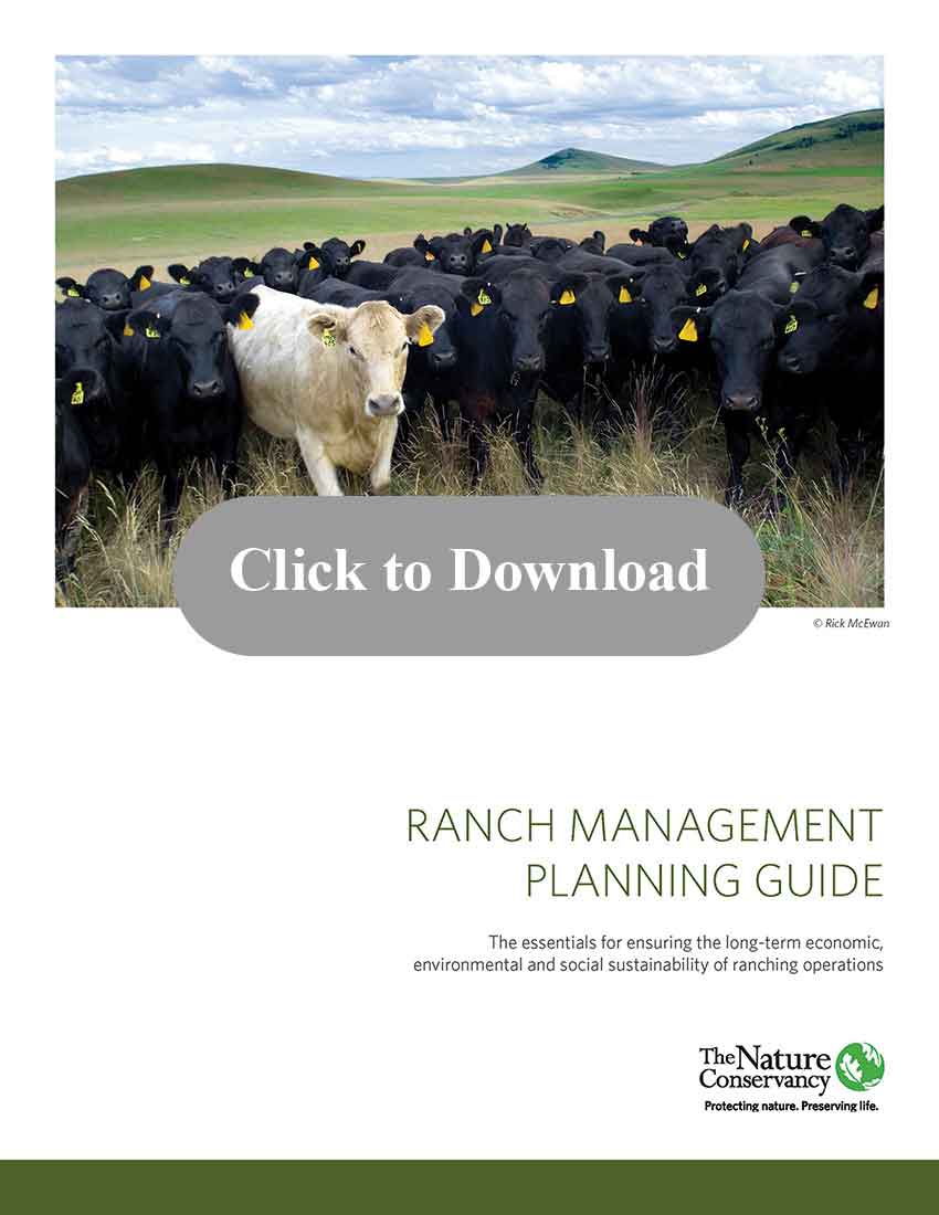 Create a Resilient and Profitable Ranch Operation Through Effective ...