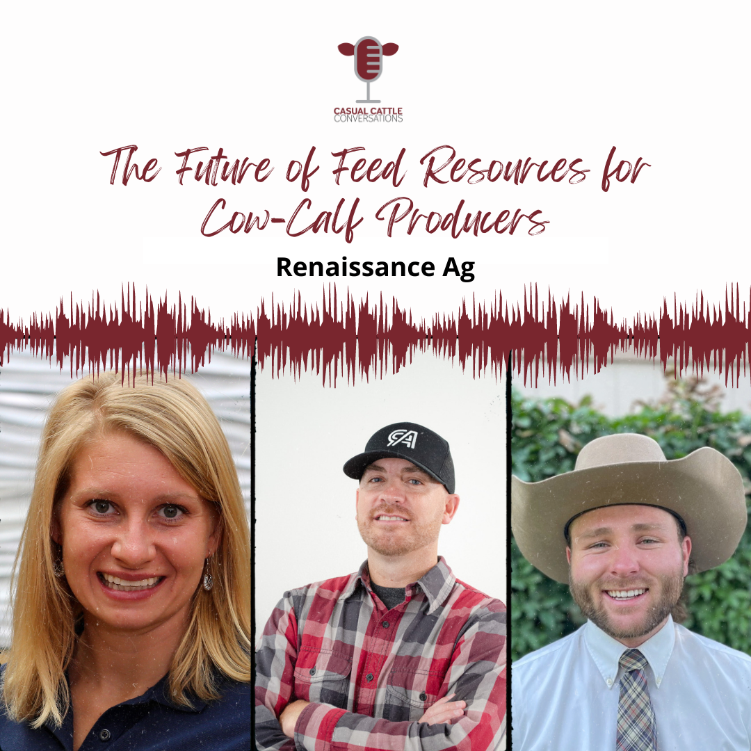 The Future of Feed Resources for Cow-Calf Producers | Drovers