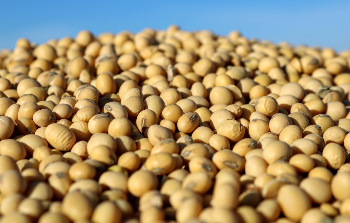 Soybean Stunner: How a Con Artist Pulled the Greatest Agriculture Heist ...