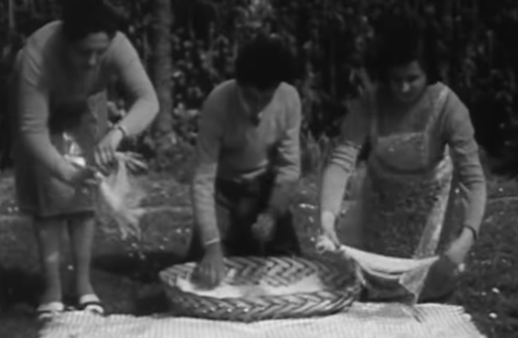 Spaghetti Farming Hoax Ranks as Prank for the Ages | AgWeb