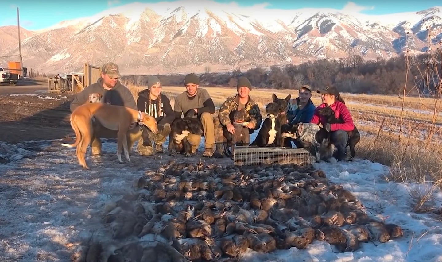 Mink Man Hunts Farms With Extraordinary Rat-Killing Reaper | AgWeb