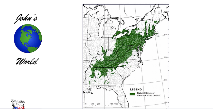 John Phipps: Why More Americans Don't Actually Roast Chestnuts On an ...