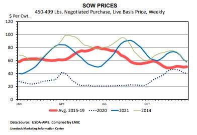 2021 Sow Slaughter Among Highest in Last Decade | Pork Business
