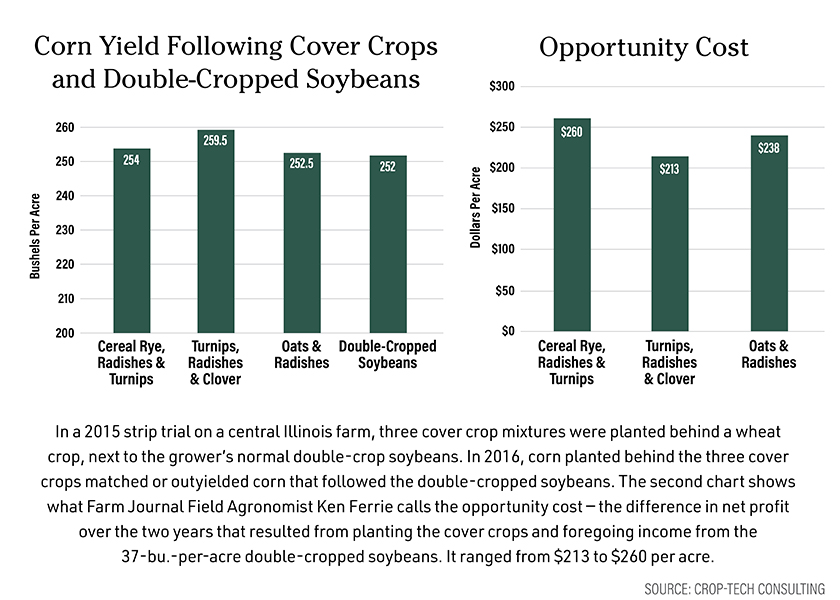 Do Cover Crops Pay? Evaluate Your ROI in These Two Ways | AgWeb