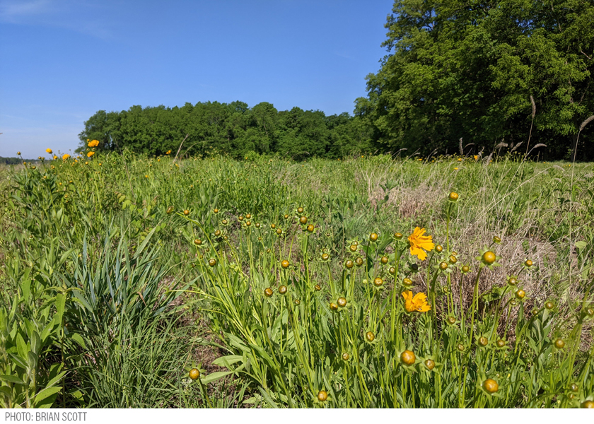 Sub-Acre Profit Equation: Ensure Each Acre Earns Its Keep | AgWeb