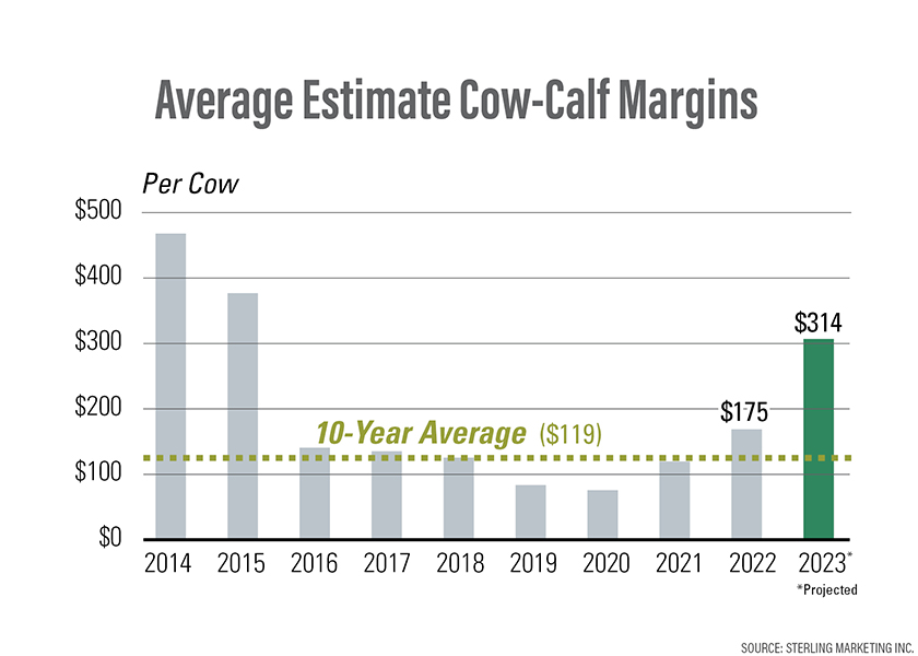 These 4 Cattle Data Sets Speak for Themselves | AgWeb