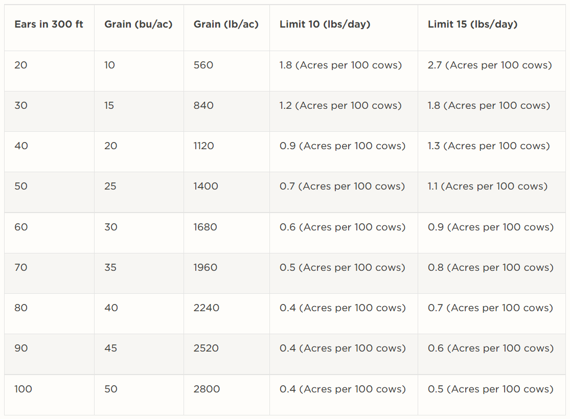 Grazing Corn Stalks or Corn Residue? | Drovers