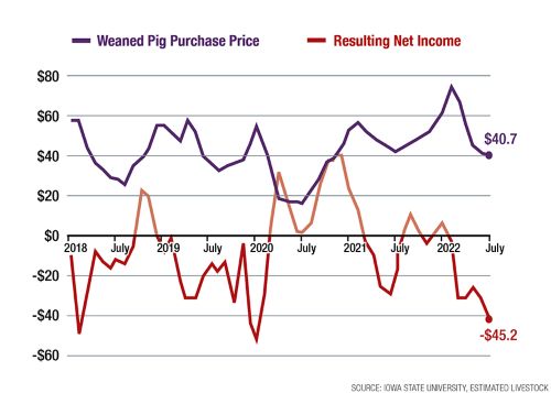 Wean Pig Profitability: What Will Happen This Summer? | Pork Business