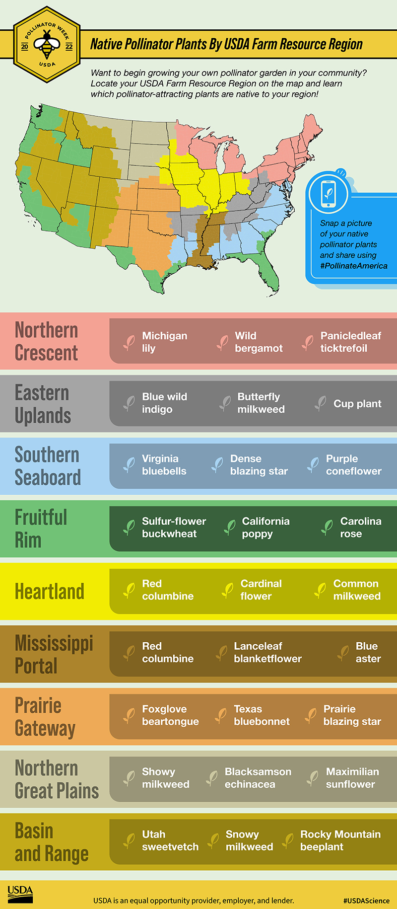 The tiny but mighty army powering food production | The Packer