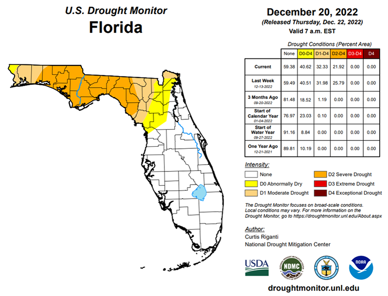 Cold front hits Florida citrus region, USDA reports | The Packer