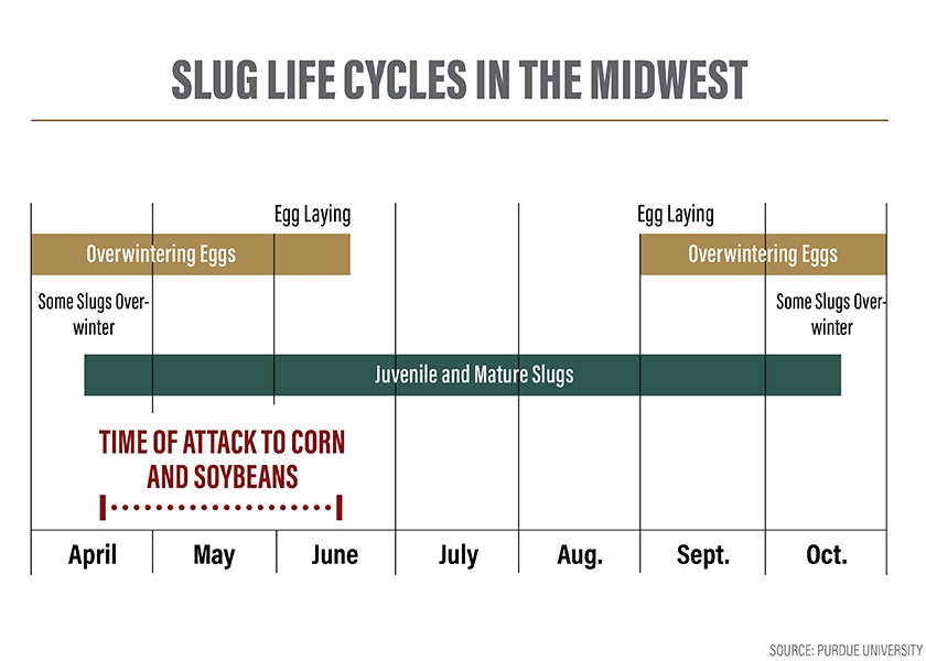 Unspoken Truths About Pests: Slugs | AgWeb