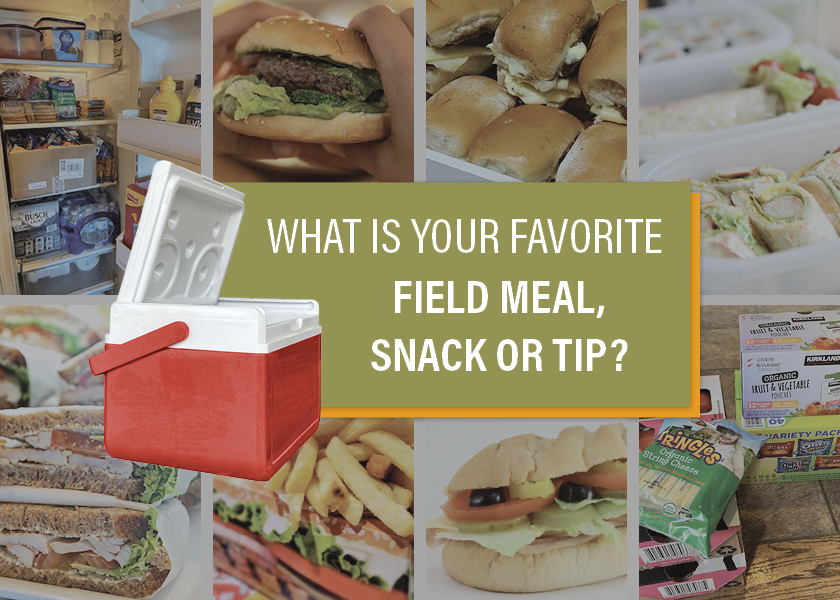 Field Meals Don’t Have to Be Complex | Dairy Herd