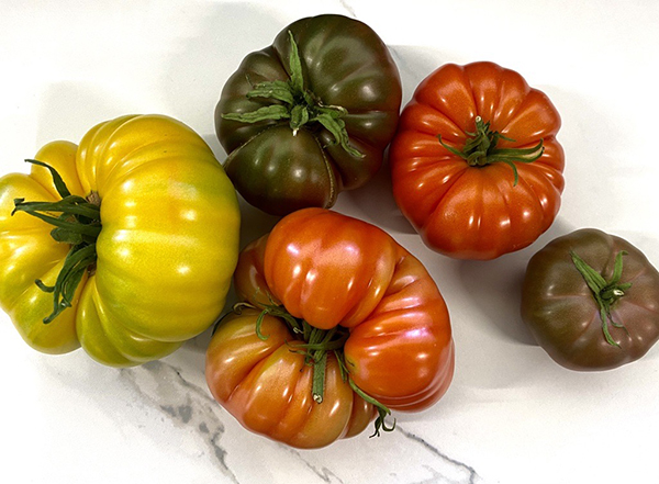 Wholesum brings organic heirloom tomatoes indoors | The Packer