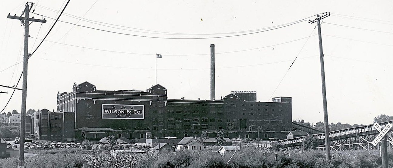 Slaughterhouse Kings: Recalling the Creepy Reign of Judas Goats | AgWeb