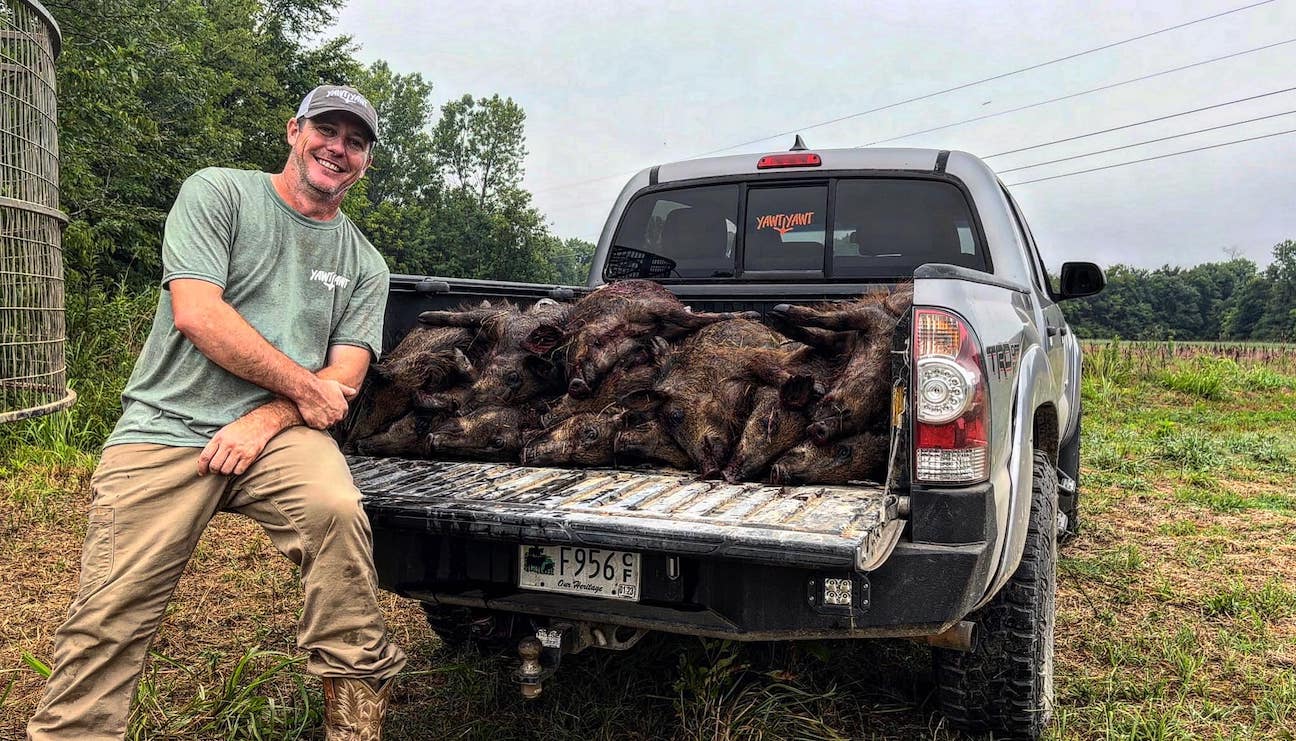 Meet Mississippi’s Yawt Yawt, a Wild Pig’s Nightmare and Hunting Legend ...