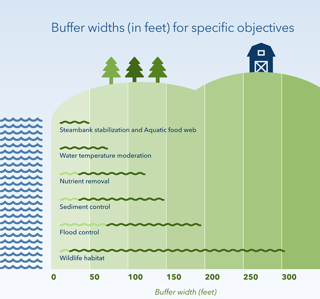 4 Ways Local Stream Health Can Benefit You | AgWeb